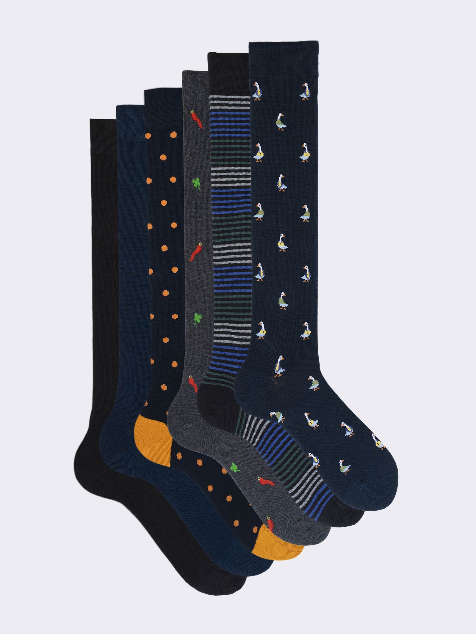 Socks | Ciocca Official Store